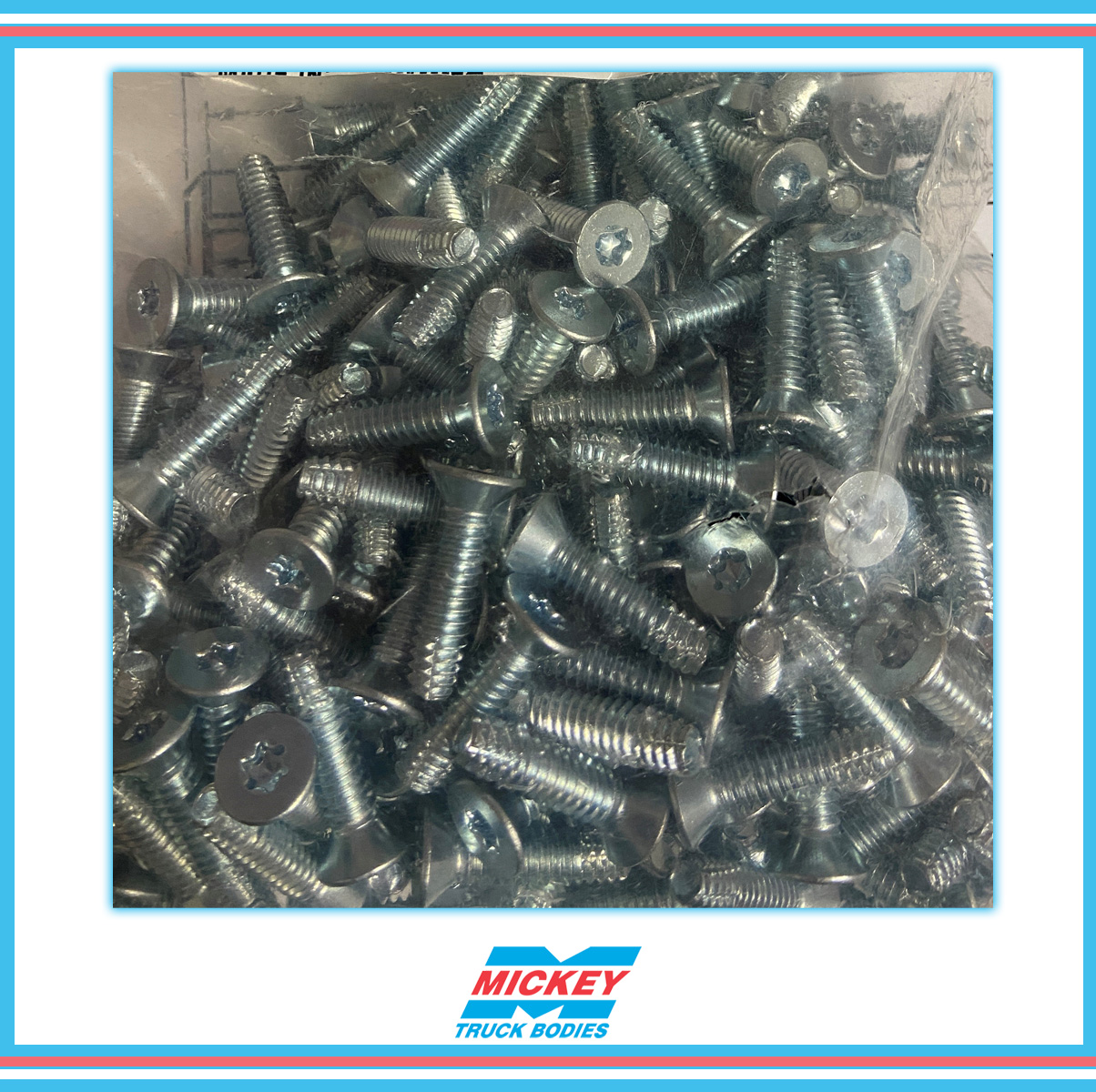 mickeyparts.com: SCREW FOR MICKEY TAKE OUTS (BEV SIDE POSTS)